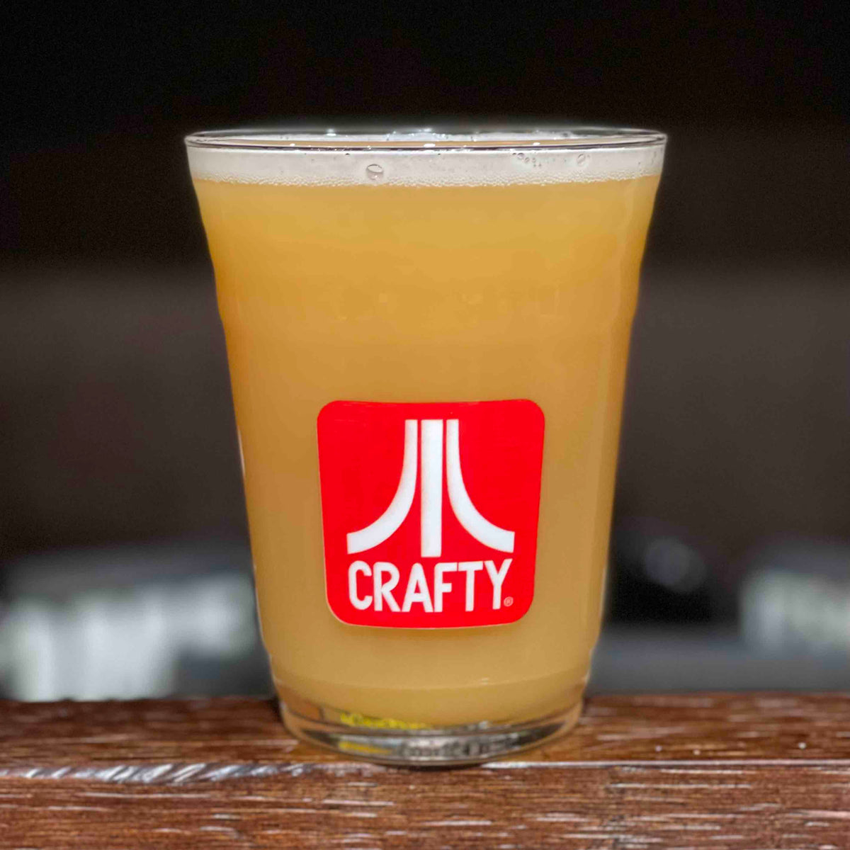 That Crafty Beer Pong Glass – thatcraftycat.com