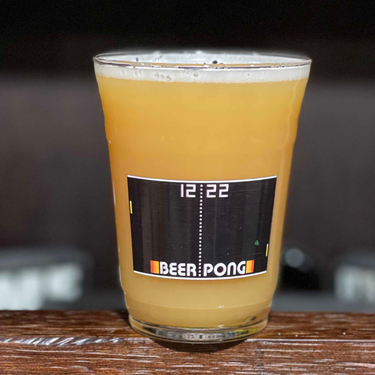 That Crafty Beer Pong Glass – thatcraftycat.com